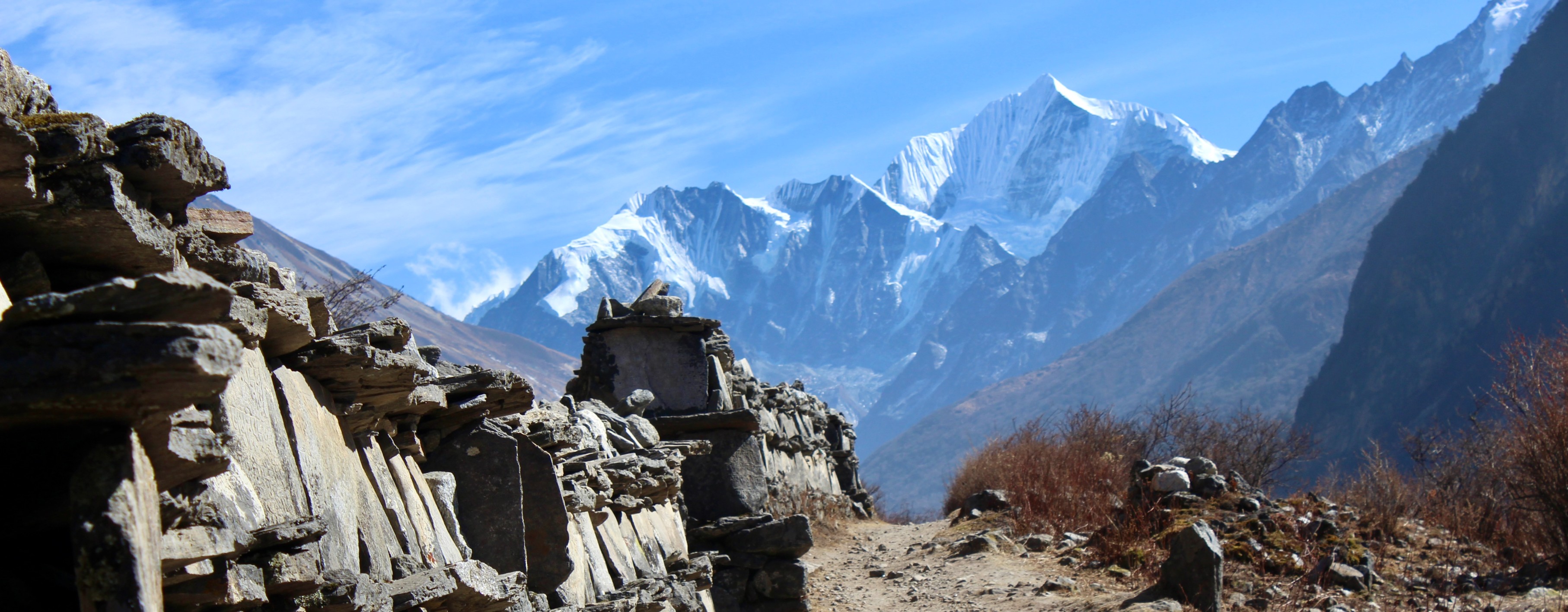 Langtang Region Trekking - Explore the Best Treks in Langtang Valley ...