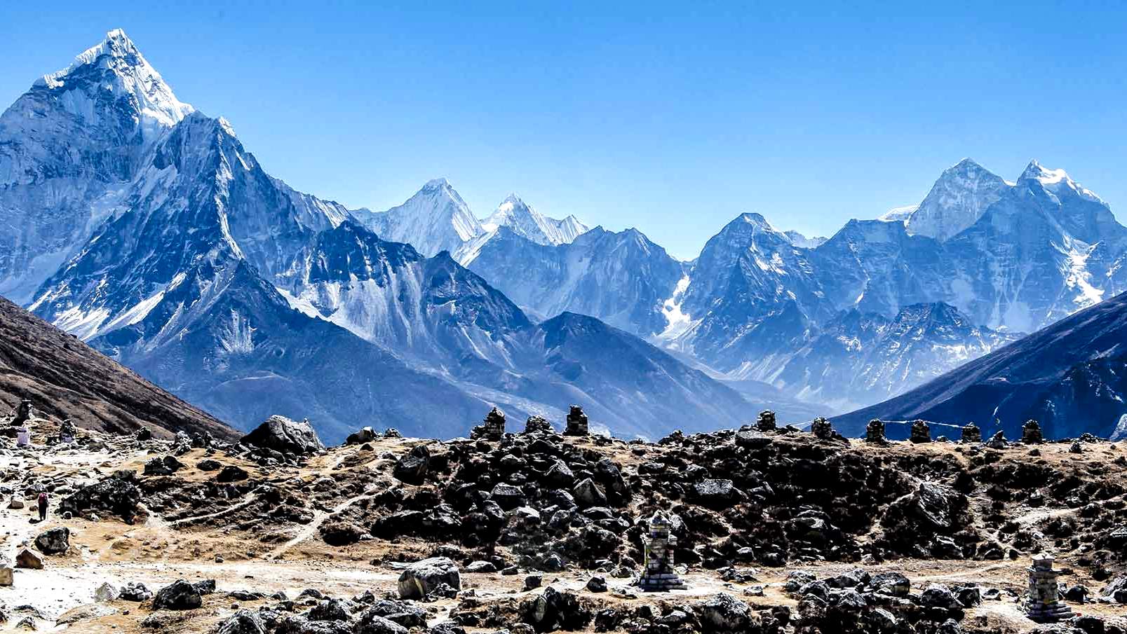 The flora and fauna of the Everest Region - A trekkers guide to wildlife